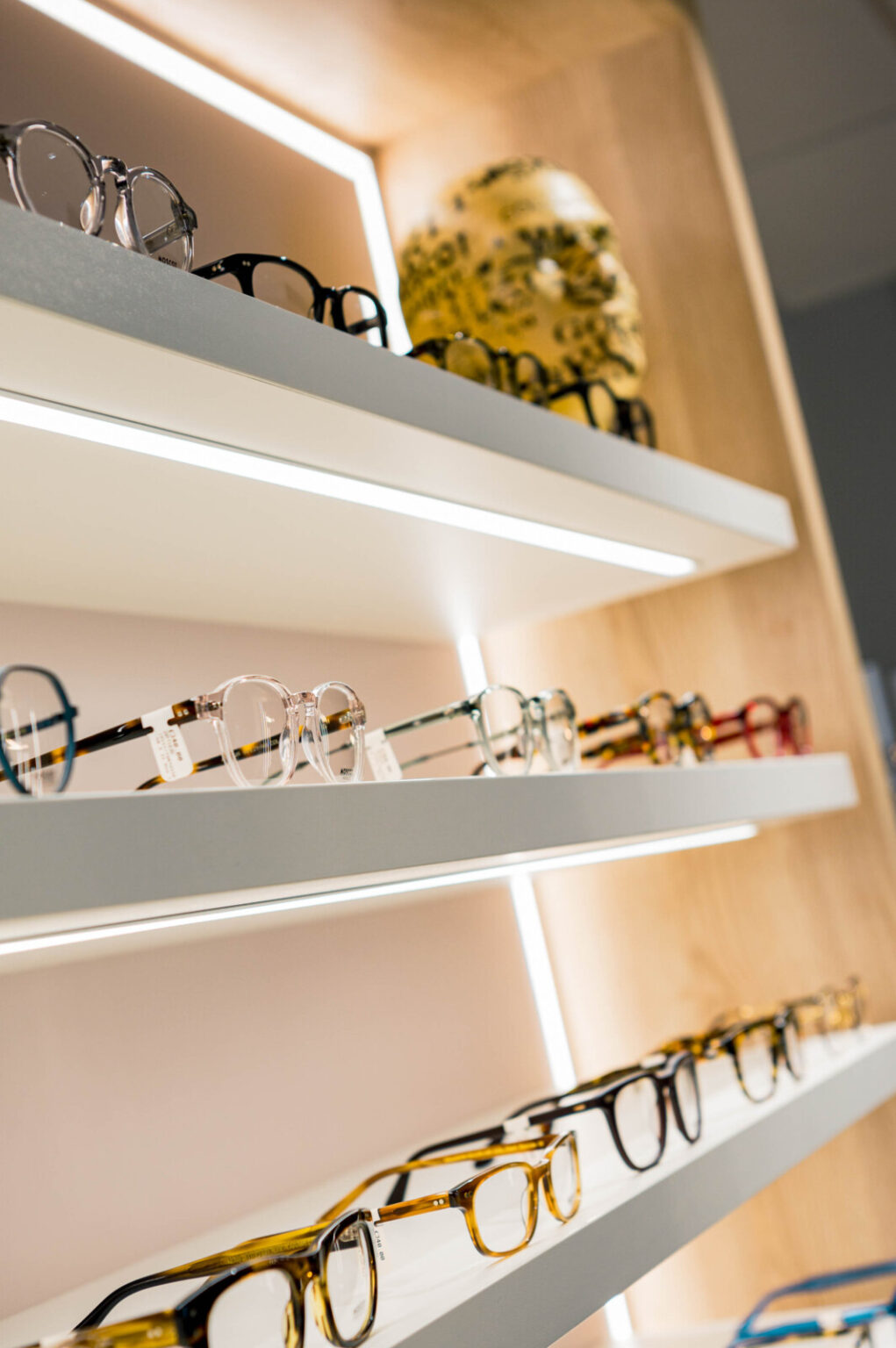 Rawlings Opticians, Alton - Mewscraft